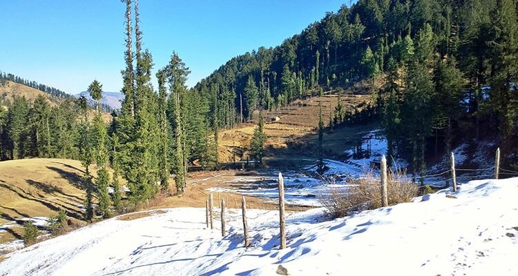 Janjehli: A Captivating Village In Mandi – The Traveller Trails