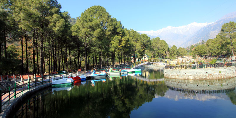 Palampur – The Bewildering Beauty – The Traveller Trails