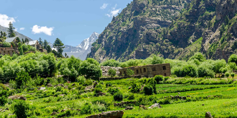 Roaming the Wild Lands of Miyar Valley – The Traveller Trails