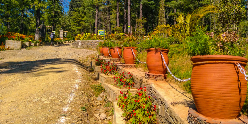 Story Of A Nature Park And A Hidden Waterfall – The Traveller Trails