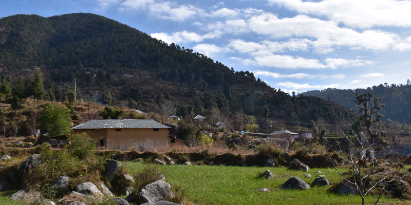 The Road Ahead… – The Traveller Trails