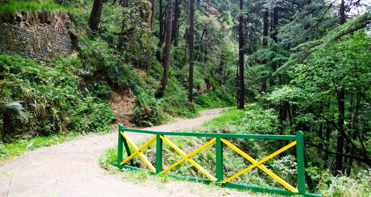 Shimla Walking Trails – The Traveller Trails