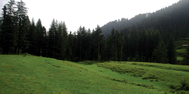 A Guide to a Magical Valley in the Himalayas: Janjehli – The Traveller ...