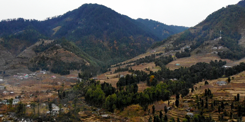 A Guide to a Magical Valley in the Himalayas: Janjehli – The Traveller ...