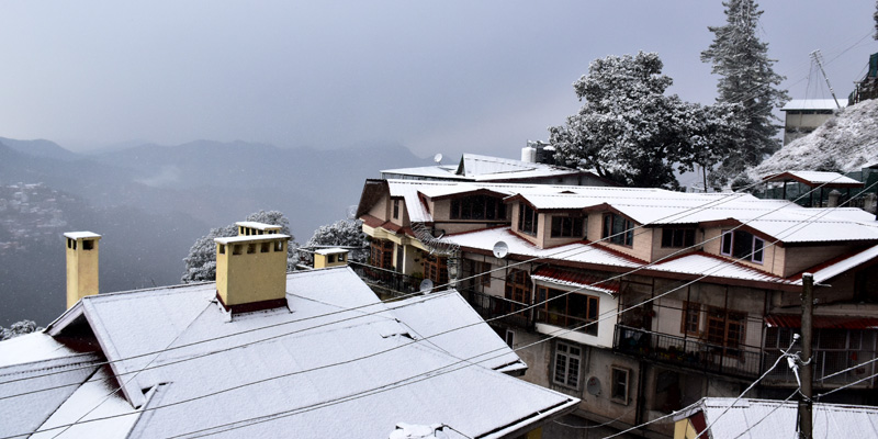 Fresh Snowfall in Shimla 2020 – The Traveller Trails