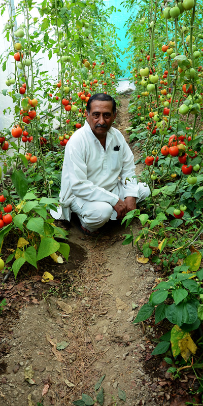 Himachal Stepping Ahead to Become a Natural Farming State – The ...