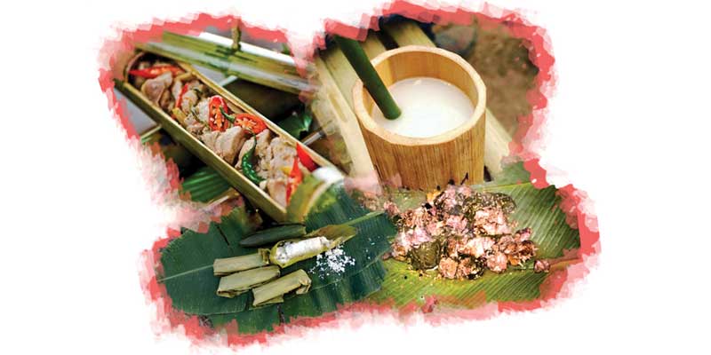 Yomgo River Festival: Where Culture Meets Nature – The Traveller Trails
