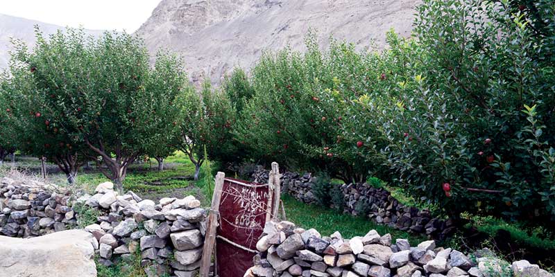 A Walk Through a Tiny Himalayan Village Named Shalkar – The Traveller ...
