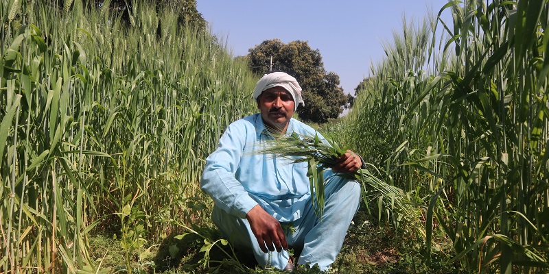 Fusing Himachal's Natural Farming Mission to Agro-Ecotourism – The ...
