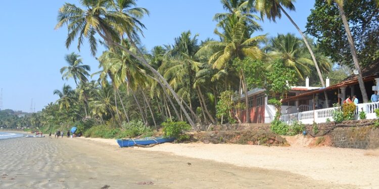 Tale of a Goan Courtyard House – The Traveller Trails