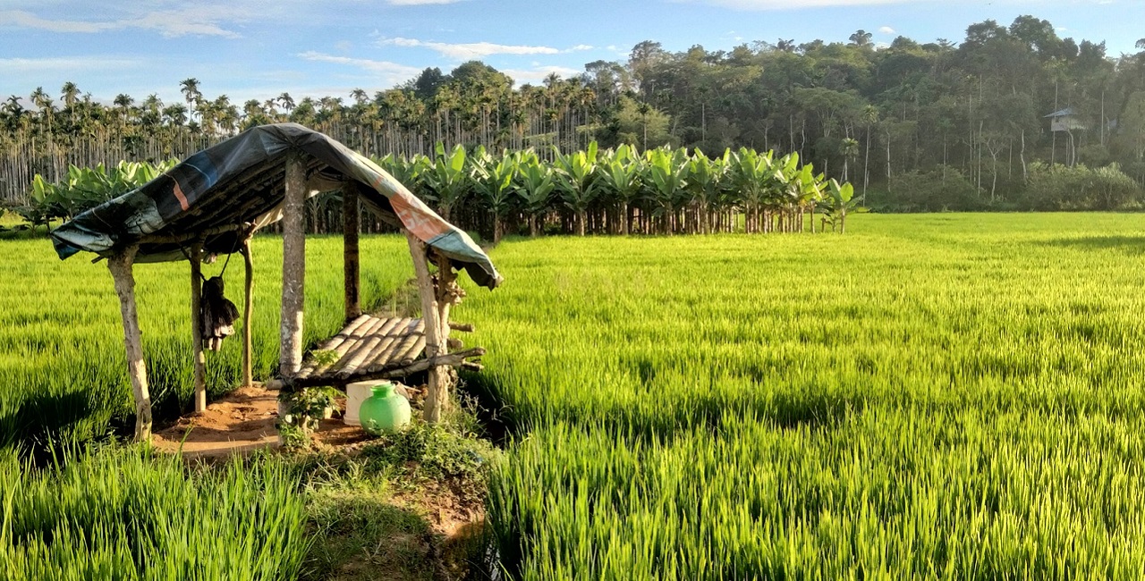 Where To Go In Kerala? Five Best Destinations You Must Add To Your ...