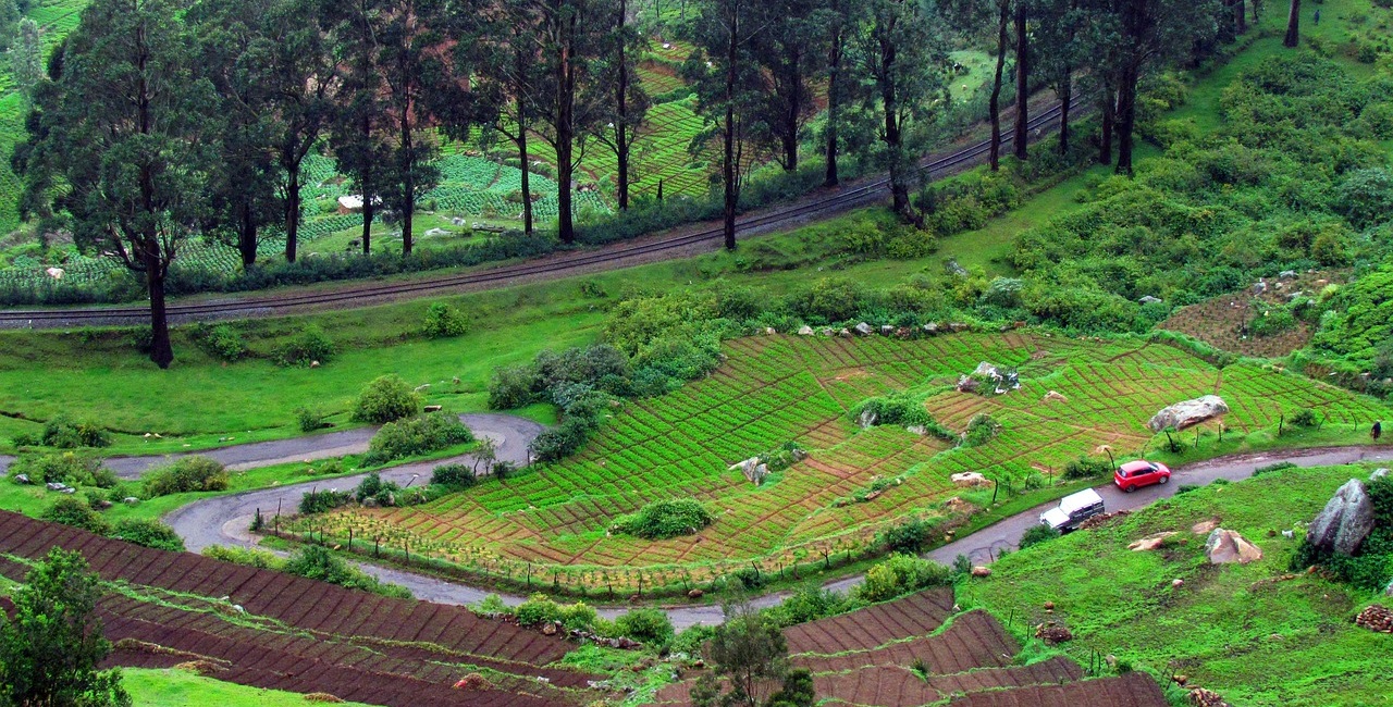 All About Ooty Toy Train Ride You Wanted To Know – The Traveller Trails