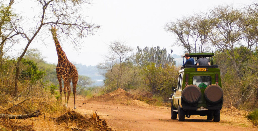 The Five Super Safe Countries For Women To Travel Solo – The Traveller ...